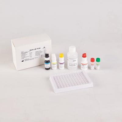 China RUO HBcAb Elisa kit for sale