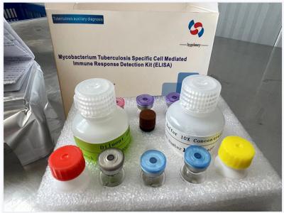 China Tuberculosis-Interferon Gamma Release Assay antibody Elisa kit TB-IGRA for sale