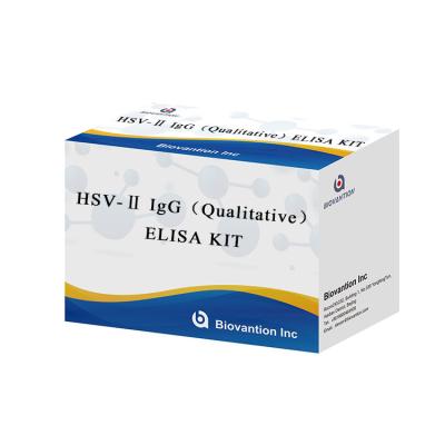 China Antibodies to Herpes Simplex Virus (HSV-Ⅱ) IgG Sensitive Elisa kit Format Kit Biovantion for precise measurements for sale