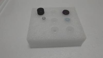 China Human rheumatoid factor (RF) Elisa Kit for RUO Test Kit for sale