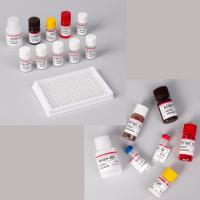 China Human Pro-BNP Elisa Kit / Pro-Brain Natriuretic Peptide Elisa Kit for sale