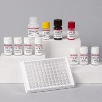 China Vitamin D Elisa Kit / VD Elisa Kit for sale