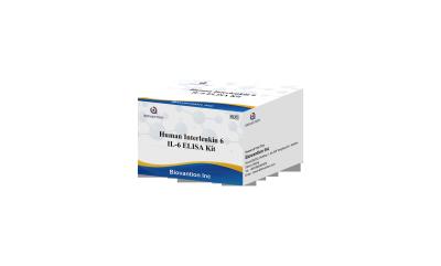 China IL-6 Interleukin 6 Elisa Test Kit With 2-3 Hours Assay Time Biovantion Serum / Plasma Format 18 Months Shelf Life for sale