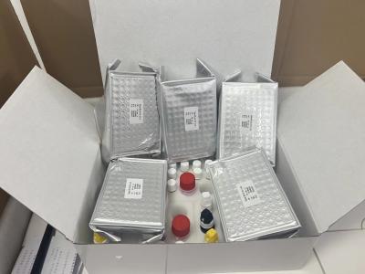 China 11-dehydro-Thromboxane B2 11dhTxB₂ ELISA Test Kit IVD High Accuracy And Simple Operation for sale