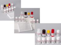 China Laboratory Or Hospital High Precision Human ferritin FE ELISA TEST KIT for sale