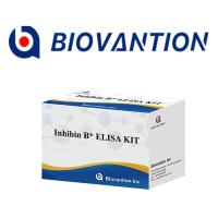 China Laboratory Or Hospital High Precision Inhibin B immunological detection ELISA TEST KIT for sale