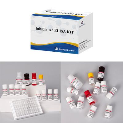 China Laboratory Or Hospital High Precision Inhibin A Diagnose Elisa Test Kit for sale
