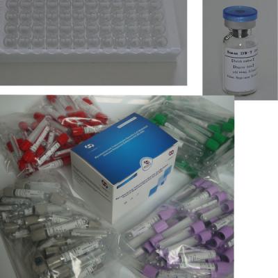 China Easy-to- TB-IGRA ELISA Test Kit with Long Shelf Life and 2C-8C Preservation Method for sale