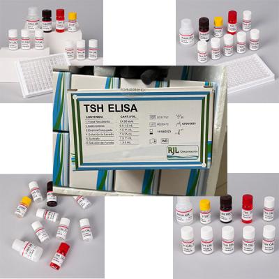China High Accuracy Patient Testing Thyroid Stimulating Hormone TSH Thyrotropin Elisa Test Kit for sale