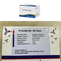 China Male And Female Infection High Syphilis TP Ab Antibody ELISA TEST KIT for sale