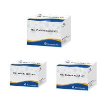 China Hospitals Laboratories Clinics Use  Prolactin Quantitative Immunoassay ELISA TEST KIT for sale