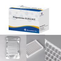 China Hospitals Laboratories Clinics Use Progesterone Quantitative Immunoassay ELISA TEST KIT for sale