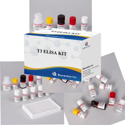 China Laboratory Hospital Clinic Widely Used T3 Triiodothyronine ELISA TEST KIT for sale