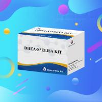 China High Sensitivity Widely Used In Vitro Diagnostic Reagent IVD DHEA-S Elisa Test Kit for sale