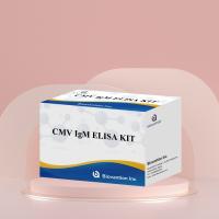 China Enzyme Immunoassay Reagents Elisa Test Kit for Detection Of Cytomegalovirus CMV Antibodies for sale