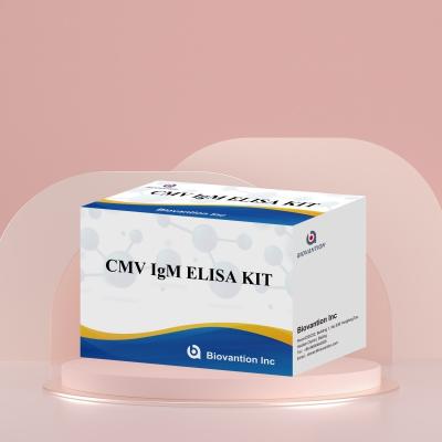 China Enzyme Immunoassay Reagents Elisa Test Kit for Detection Of Cytomegalovirus CMV Antibodies for sale