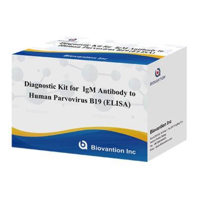 China Diagnostic Kit For Human Parvovirus B19 IgM Antibody Elisa Test Kit With 96T for sale