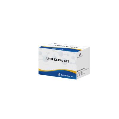 China CE approval Human use Anti-Mullerian Hormone (AMH) Elisa test Kit blood or serum test 96T for sale