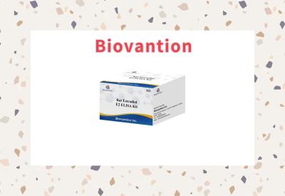 China Specificity Biovantion Rat Estradiol E2 Elisa Test Kit - 96 Tests Storage At 2-8.C for sale