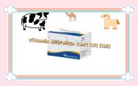 China Vitamin B12 Elisa Test Kit Of Enzyme-Linked Product RESEARCH USE ONLY Animal Test for sale