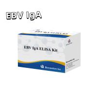 China Professional Elisa Test Kit For Diagnostic Kit For IgA  Antibody  To EBV-Zta for sale