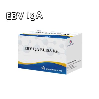China Professional Elisa Test Kit For Diagnostic Kit For IgA  Antibody  To EBV-Zta for sale