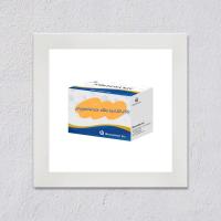 China Testosteron Elisa Test Kit RUO Elisa Test Kit Of Enzyme-Linked Product RESEARCH USE ONLY Animal Test for sale