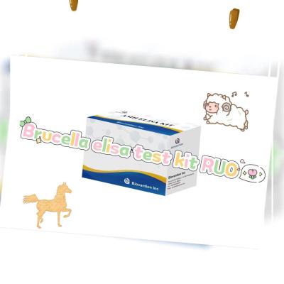 China Brucella elisa test kit RUO Elisa Test Kit Of Enzyme-Linked Product RESEARCH USE ONLY Animal Test for sale