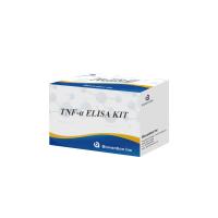 China TNF-α RUO Elisa Test For Serum Plasma Accurate and convenient diagnostic solution for research for sale