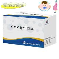 China CMV IgM ELISA Kit High Accuracy Pregnant Women Preventive Test for sale