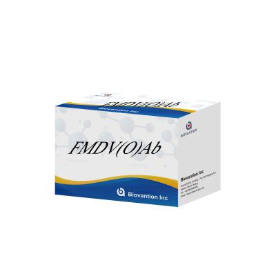 China Bovine Foot And Month Disease Virus O Antibody Rapid Test Kit FMD FMDV Devastating Livestock Disease Detection for sale