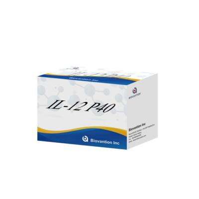 China 96 T Serum 98% Specificity ELISA RUO Test Kit Human IL-12 P40 for sale