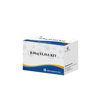 China β-hCG(Quantitative) 1 Hour Elisa Test Kit For Antibody Sensitivity And Specificity for sale