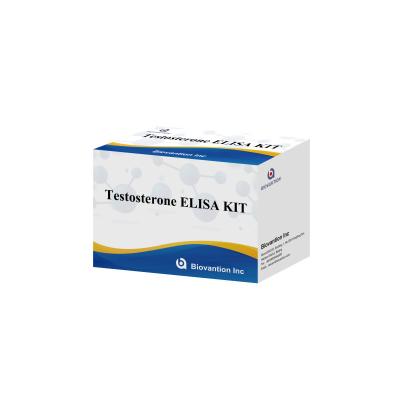 China Serum plasma Specimen Elisa human detect reagent Test0sterone Quantitative Elisa kit for sale