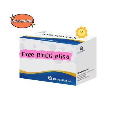 China Free BhCG Elisa Test Kit Serum Storage 2-8.C Eighteen Mouth Shelf Life for sale