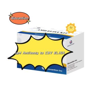 China Diagnostic Kit For IgM Antibody To CBV Elisa Test Kit 50μL Serum Medical Diagnosis for sale