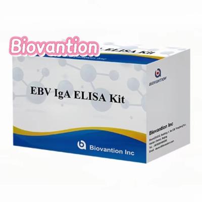 China IgA  Antibody  To EBNA1 Elisa Test Kit Serum 50μL Specimen Kit Format for sale