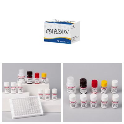 China Highly Sensitive Elisa Kit For Medical Diagnosis With 1 Hour Assay Time For Serum Samples 50µL for sale