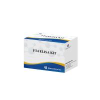China FT4 Medical Diagnosis Enzyme-Linked Immunosorbent Assay Test Kit With High Specificity for sale