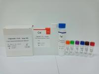China CalProtein 18 Month Shelf Life Serum / Plasma Elisa Test Kit For Clinical Laboratory Analysis for sale