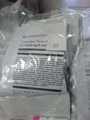China Coxsackie Virus A16 CVA16-IgM Antibody Cassette Rapid Test Serum Rapid Tets Professional for sale