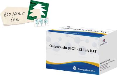 China Rat CXCR4 FOR RESEARCH USE ONLY ELISA Method 98% Specificity for sale