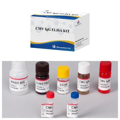 China Biovantion CMV 18 Month Shelf Life IVD ELISA Serum Plasma Test Kit for sale