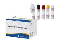 China Estradial E2 ELISA Test Kit Quantitative Human Serum Detection for sale