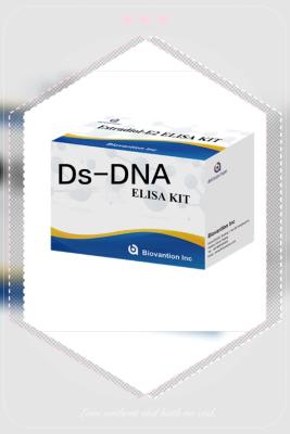 China Anti Ds-DNA IgG ELISA Test Kit Qualitative Anti Double Stranded DNA Antibody for sale