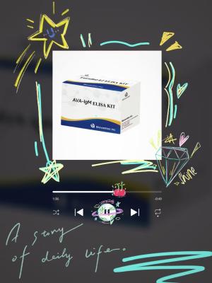 China Anti-ACA IgM ELISA Test Kit  Antibodies To Anticardiolipin Qualitative for sale