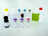 China Accuracy And Sensitive Elisa Test Kit For Fast And Easy Detection TB IGRA ELISA DIAGNOSIS for sale