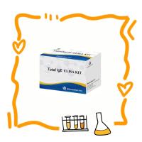 China Total IgE Antibody IgE ELISA Test Kit In Vitro Diagnostic Enzyme for sale