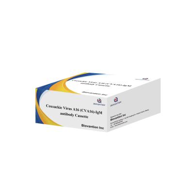 China Coxsackie Virus A16 CVA16-IgM Antibody Cassette WB/S/P Colloidal Gold Rapid Test for sale