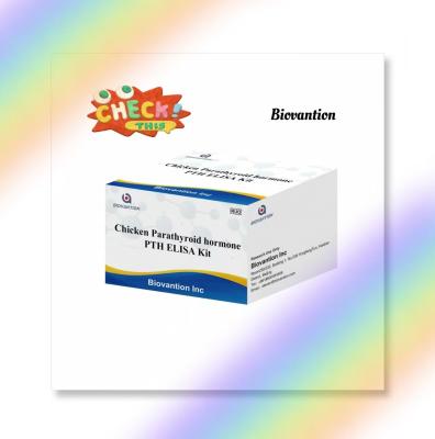 China PTH ELISA Test Kit Chicken Enzyme-Linked Immunosorbent Parathyroid Hormone Serum for sale